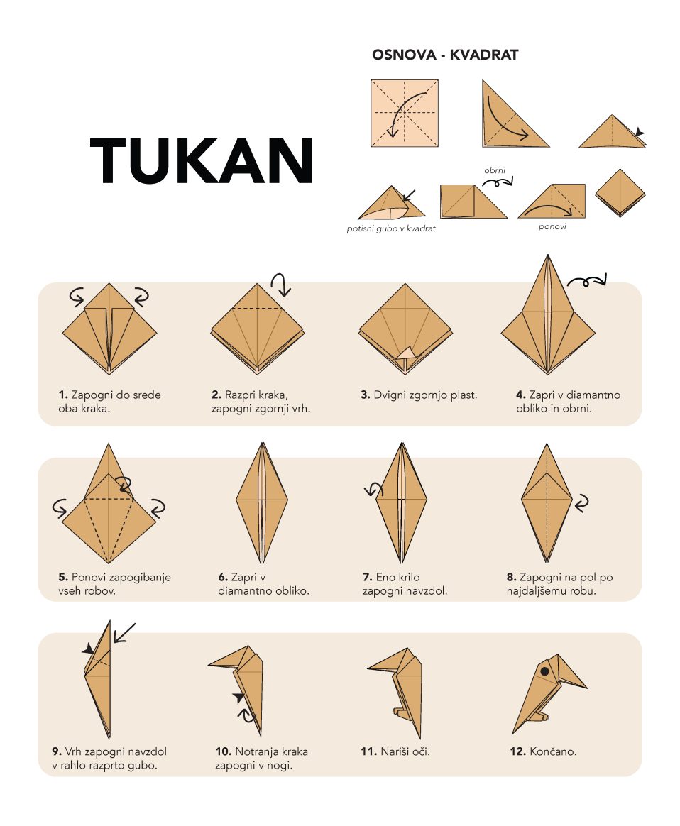 Zgibaj origami | Tukan in zmaj